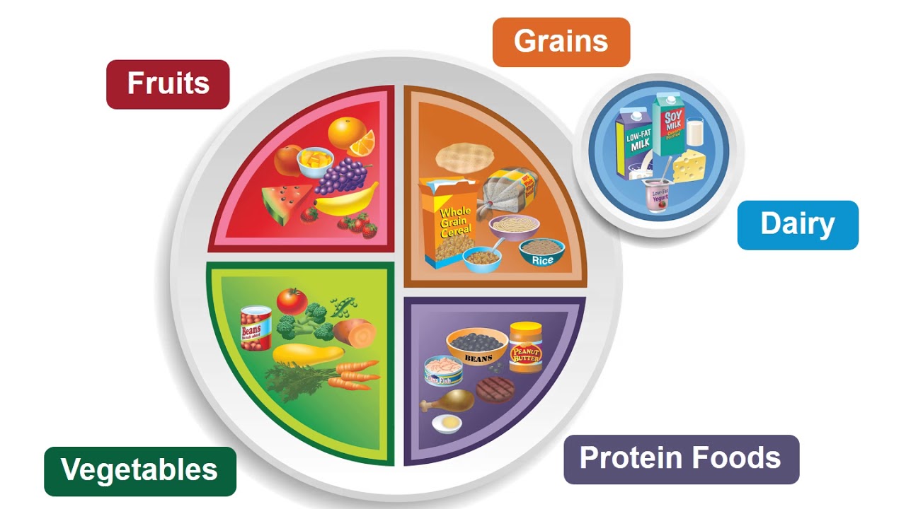USDA Discover MyPlate Webinar Part III - YouTube