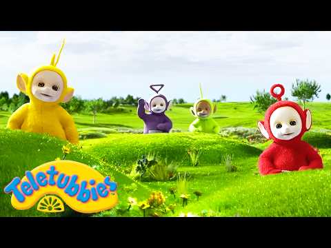Como Pedro por su casa | Teletubbies Español Castellano | Episodio Completo