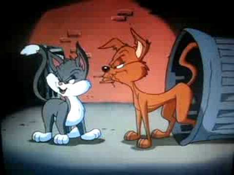 Kiki's Kitten - YouTube