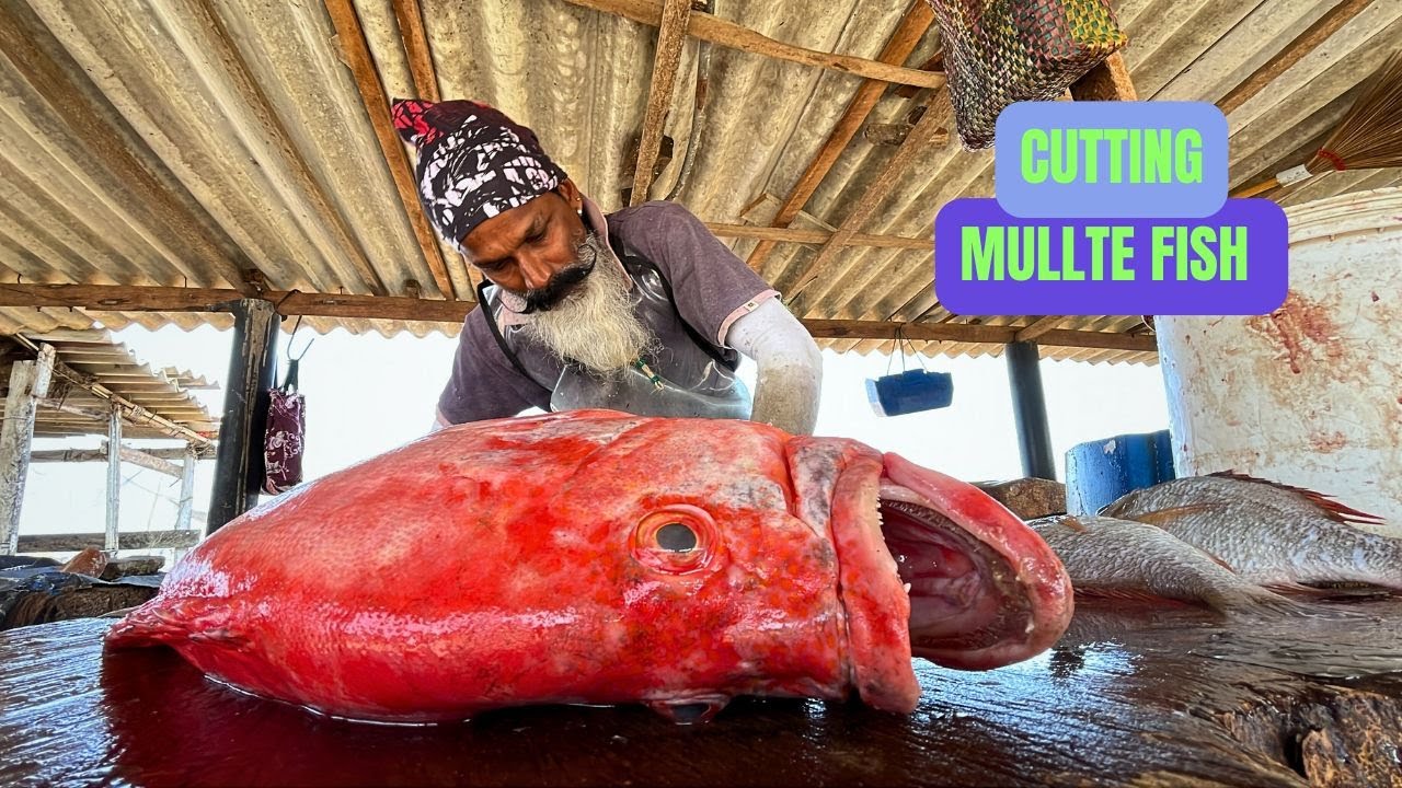 Wow! Fast Red Mullet Fish Cutting by Expert Cutter at Traditional Fish ...