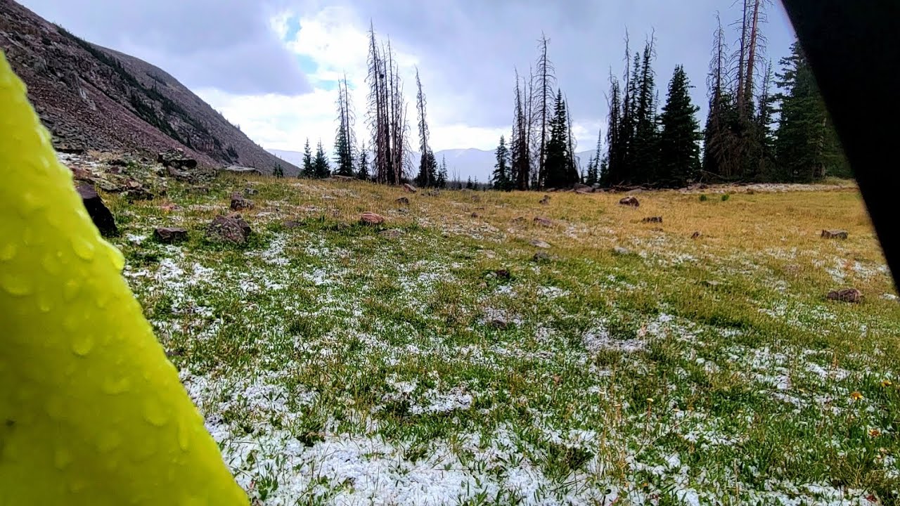 What Spring Archery Elk Hunts Are Actually Like - YouTube