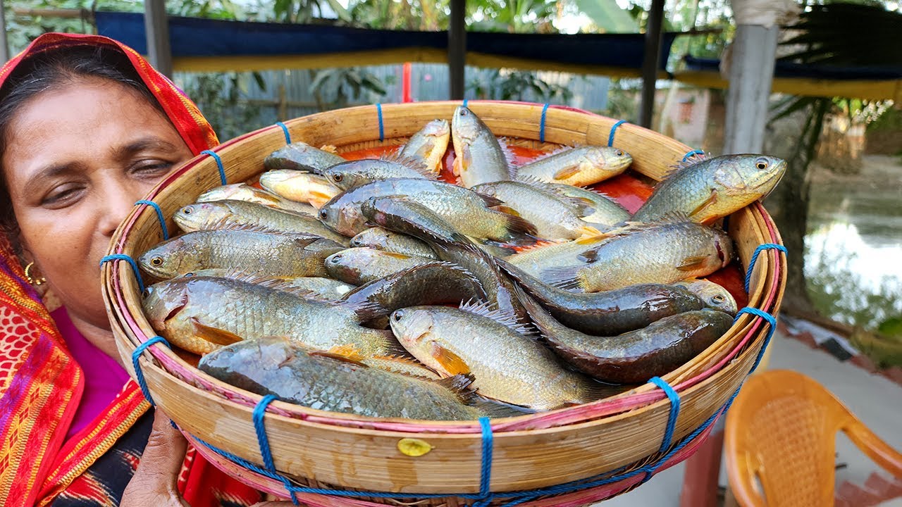 Climbing Perch Fish With Banana Stem Curry Koi Mach Diye Kandal Recipe ...