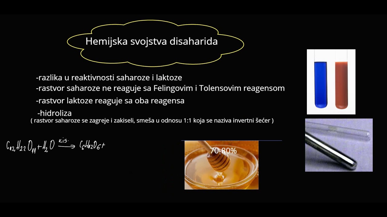 Disaharidi.Polisaharidi - YouTube