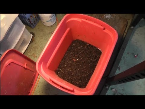 The right way to make a worm composting bin! - YouTube