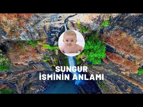 SUNGUR isminin anlamı nedir? Kişisel özellikleri nelerdir?