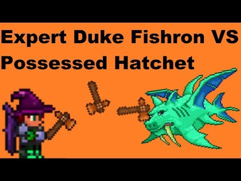 Terraria - Expert Duke Fishron VS Possessed Hatchet - YouTube