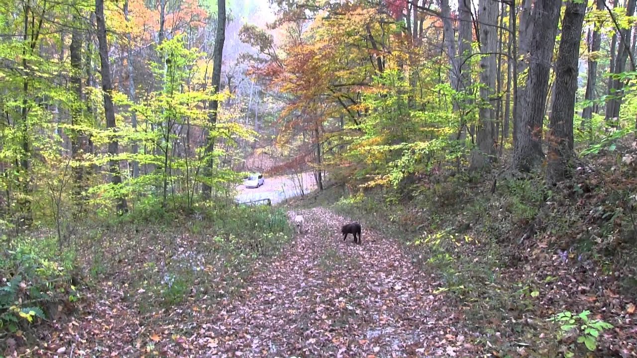 Low Gap Trail (Southern Indiana) Backpacking - Fall Color Tour ...