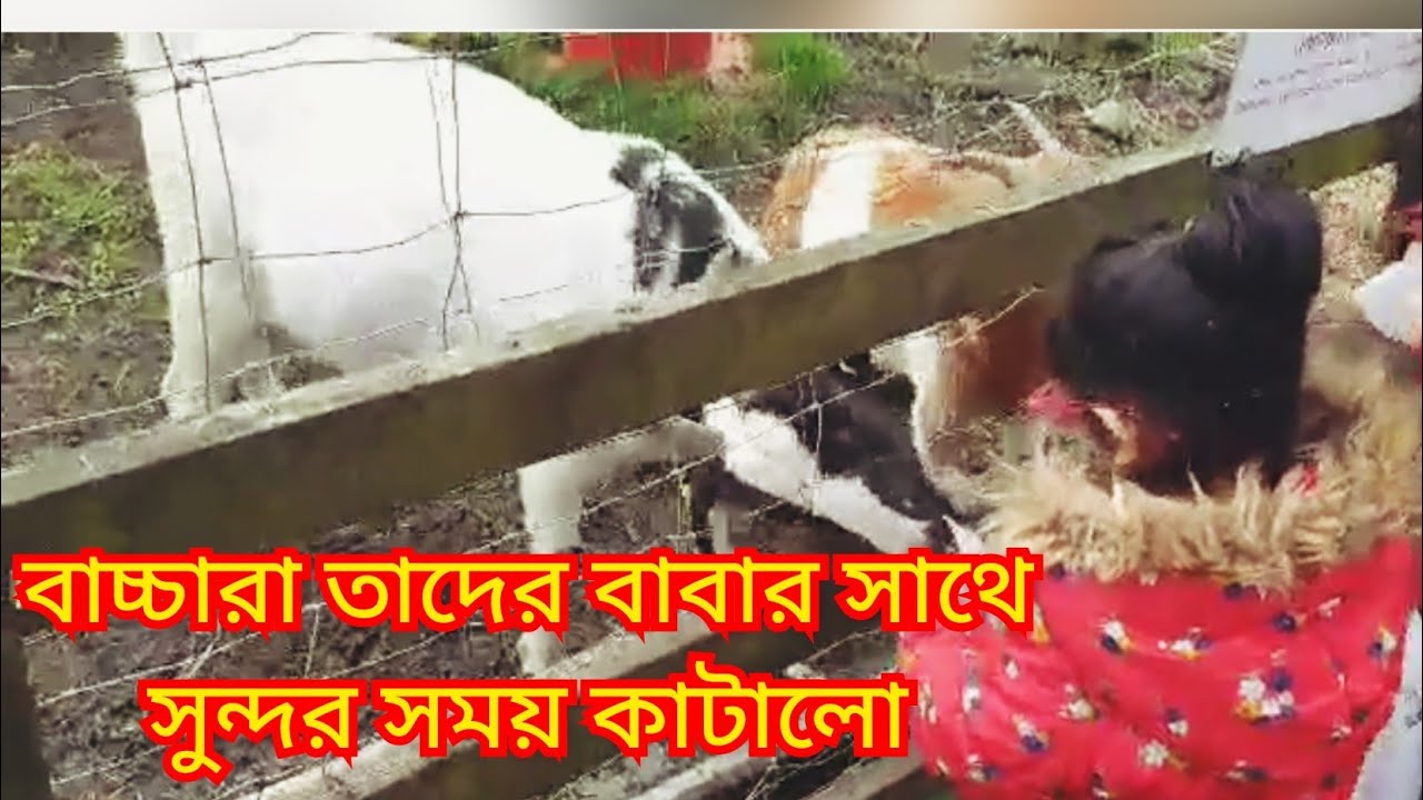 আমাকে রেখে ওরা সবাই ঘুরতে গেলো...😊 | Stepney City Farm | Stepney Green ...