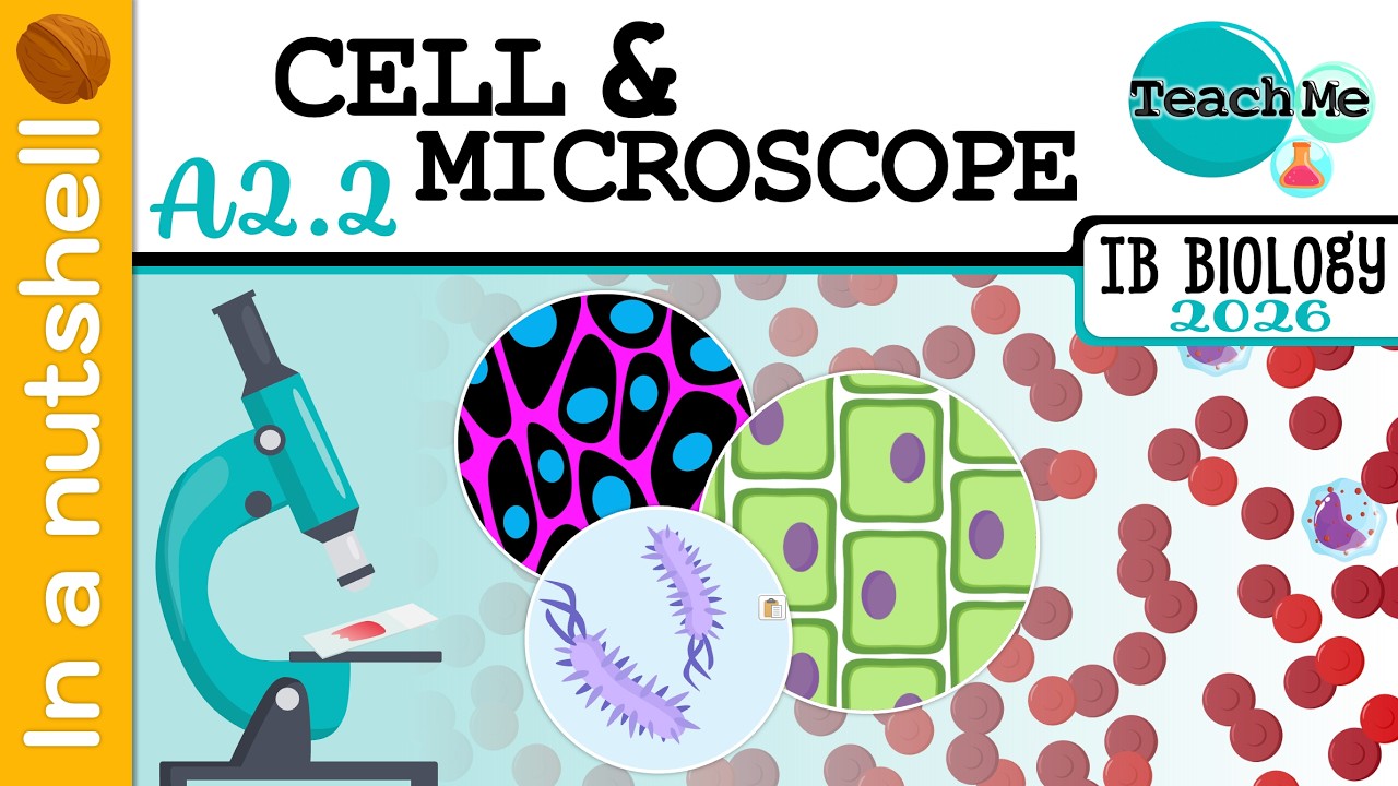 (A2.2) - Cell & Microscope [In A Nutshell] - IB Biology (SL/HL) - YouTube