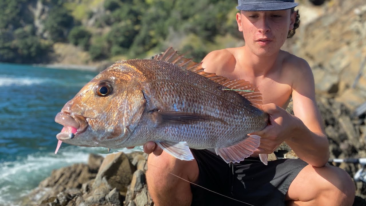 Nz snapper of the rocks on softbaits! - YouTube