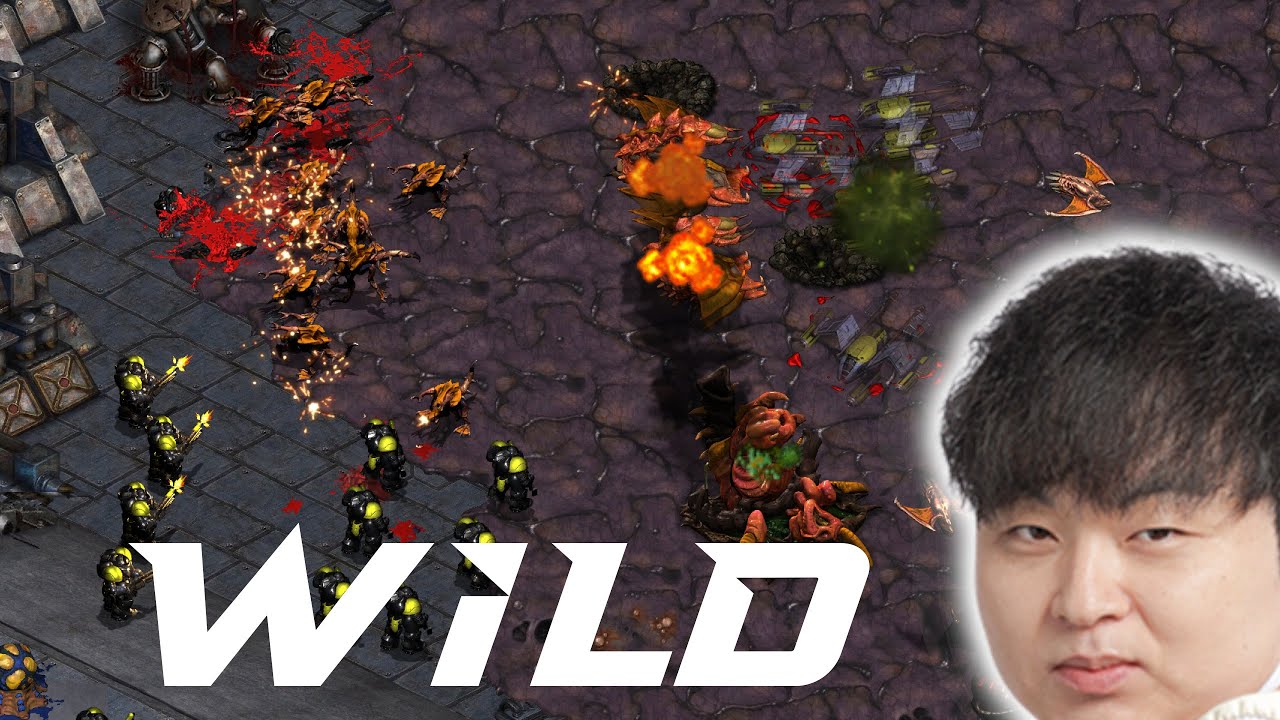 What's with all the new Wraith Tech now? - Starcraft Broodwar - YouTube