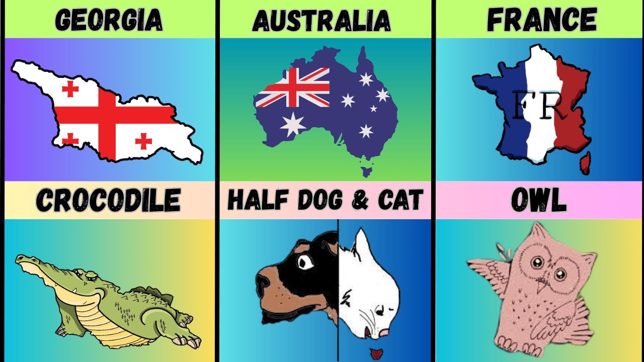 Realistic Country Shapes | Country map look like things and Animal ...