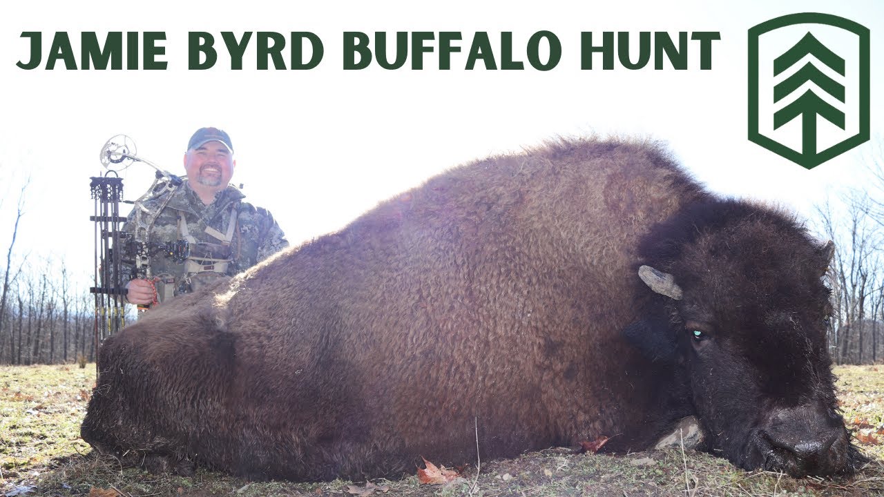 Jamie Byrd Buffalo Hunt - YouTube