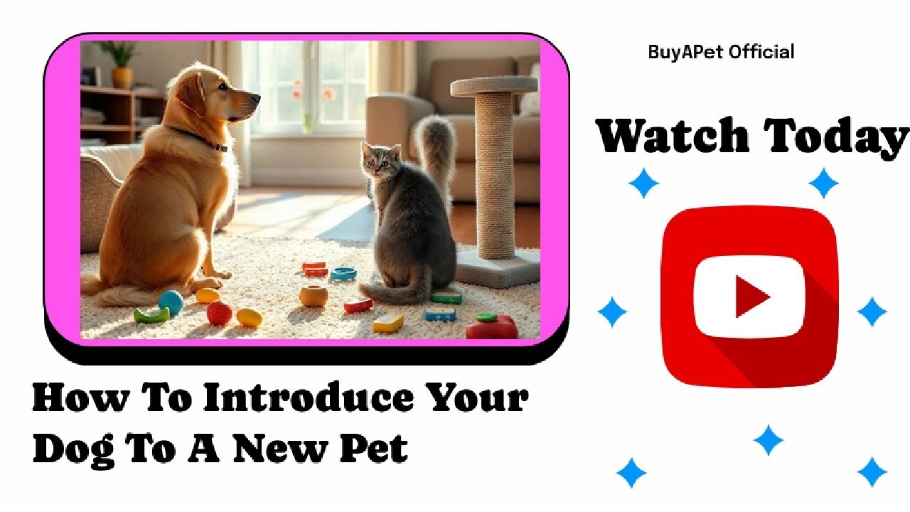 "🐶 Ultimate Guide: How to Introduce Your Dogs to a New Pet Like a Pro ...