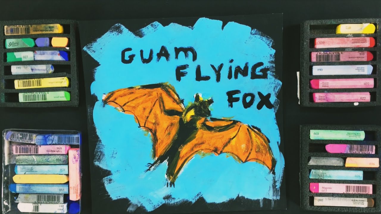 Guam Flying Fox / Art Project " Extinct Animals " / How To Draw A Bat ...