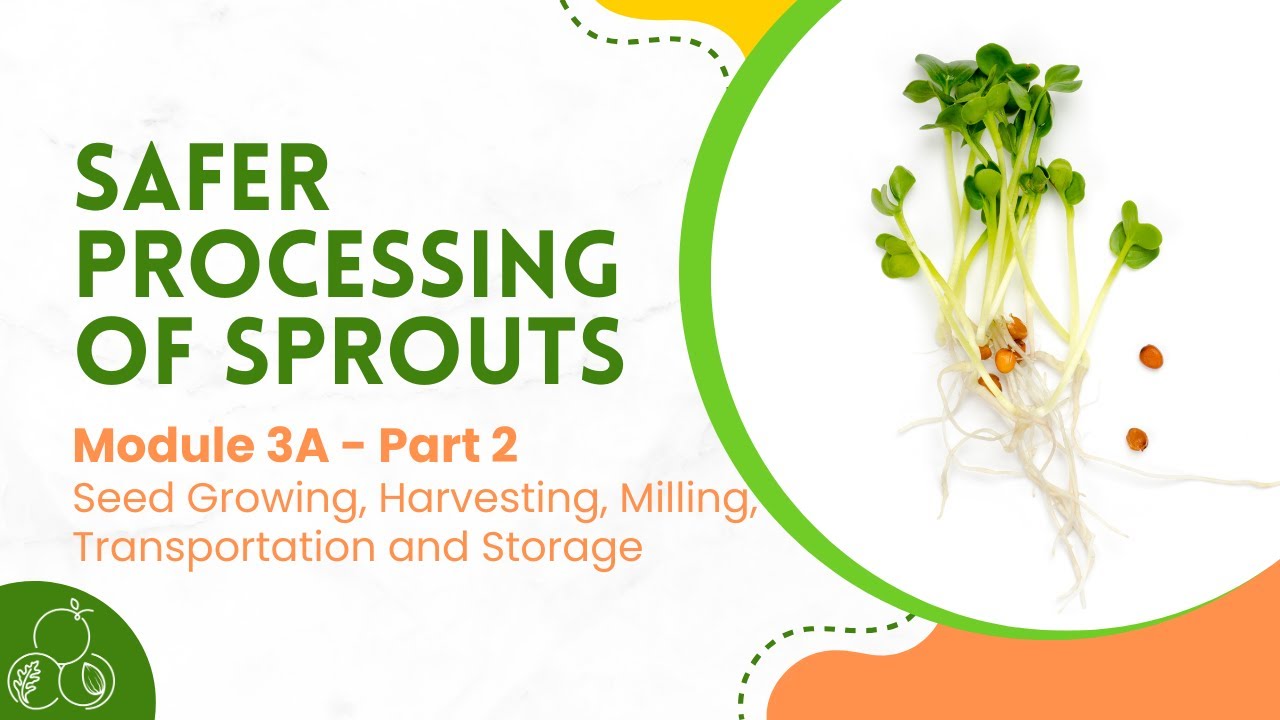 Sprouts: Module 3A | Seed Growing, Harvesting, Milling, Transportation ...