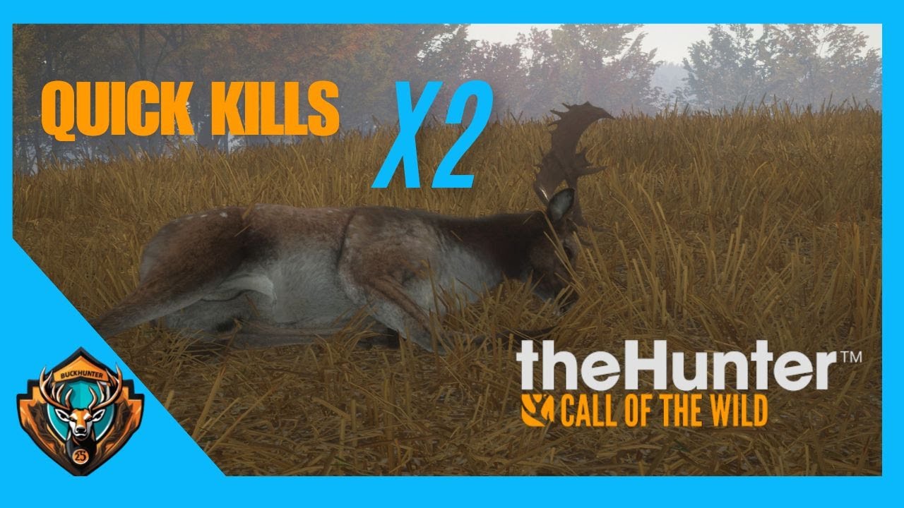 2 Fallows in quick succession! 🦌theHunter: Call of the Wild - YouTube