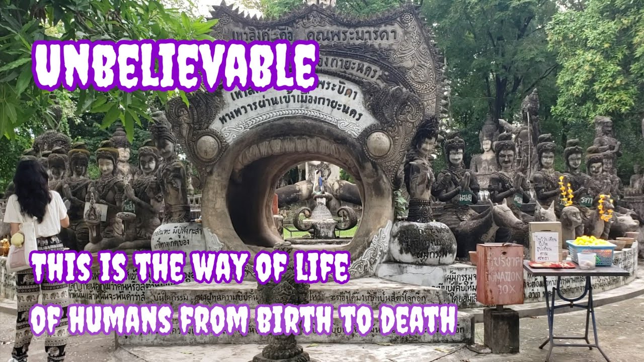 The human life cycle from birth to death วิถีชีวิตของคนตั้งแต่เกิดจนตาย ...