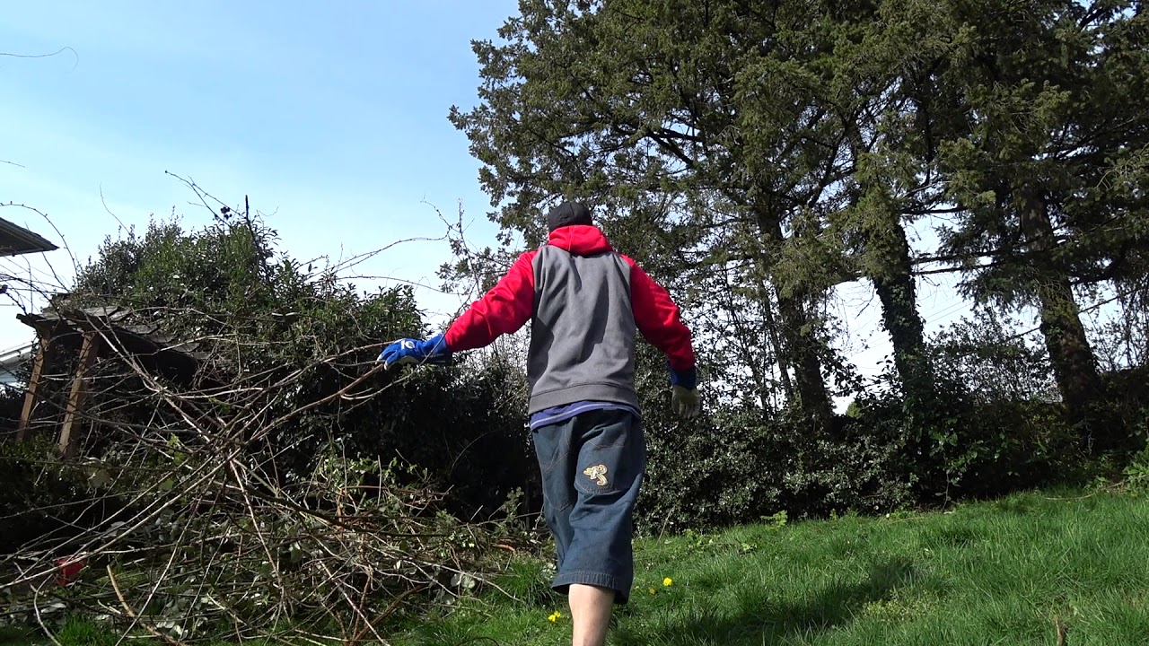 Bush Whacking - YouTube