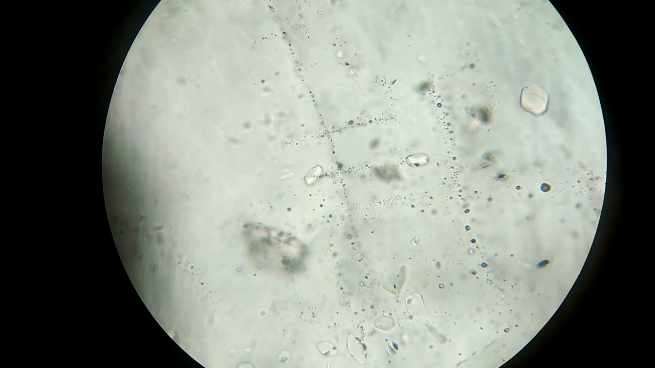 Fluid Inclusion Sample 7 - YouTube