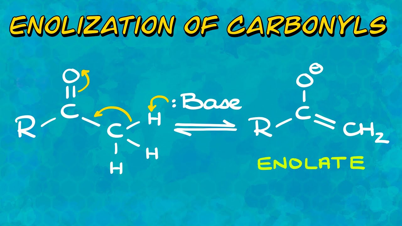 Enolization of Carbonyls: Thermodynamic vs Kinetic Enolates - YouTube
