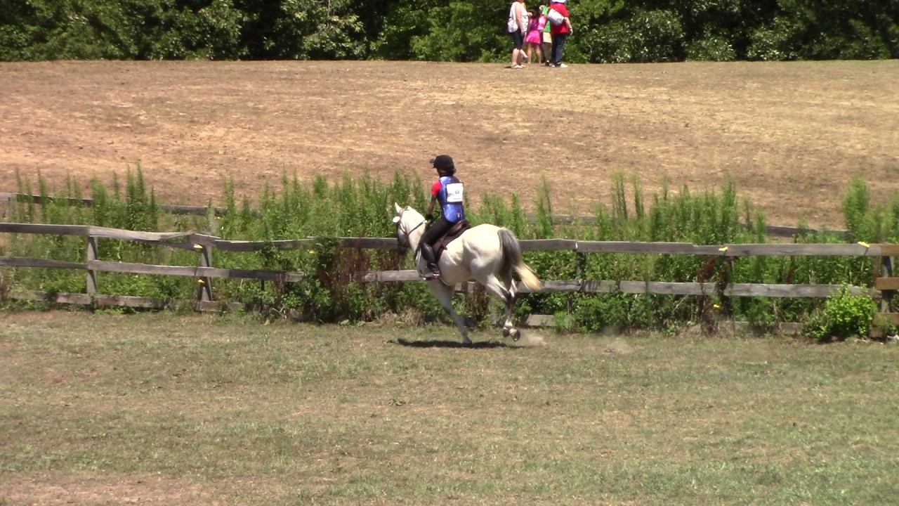 Reckless Stadium Jumping Avalon Mini Event 7 30 2017 Part II - YouTube