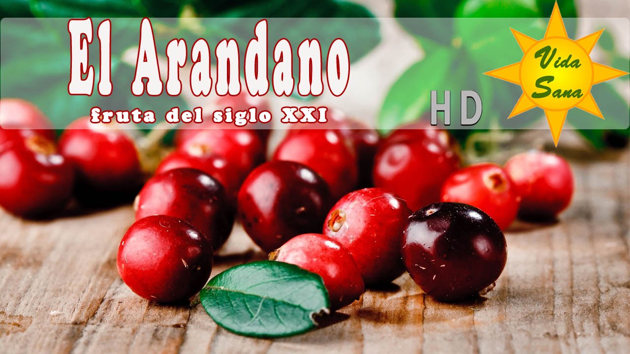 El Arándano, fruta del siglo XXI - YouTube