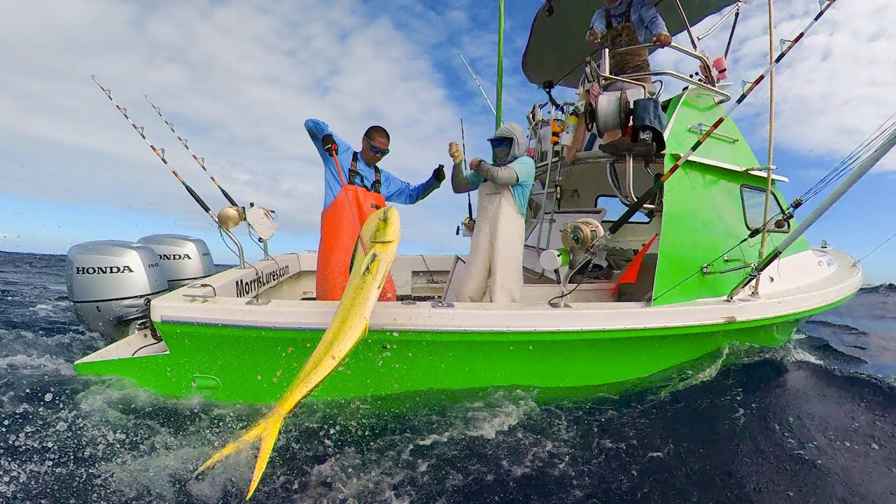30 Miles Offshore Live Baiting MuhiMuhi - YouTube