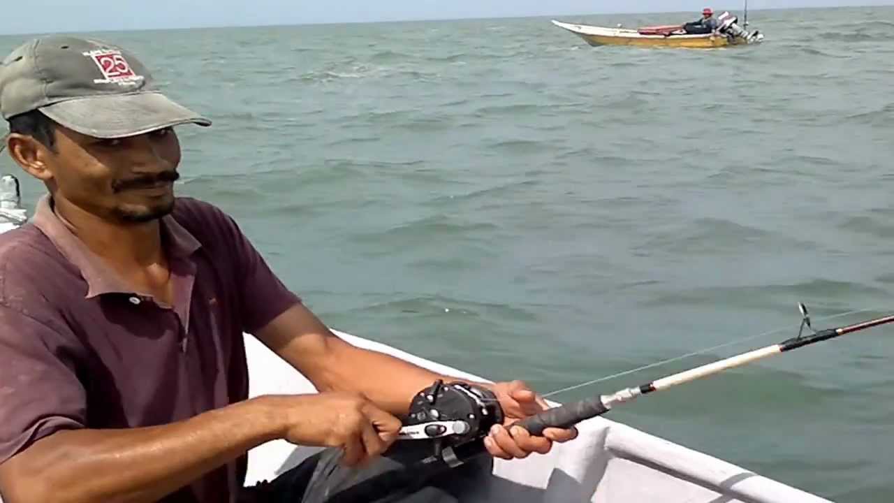 Pancing Pari laut pekan - YouTube
