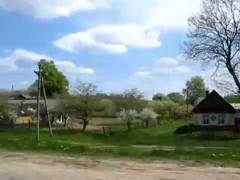 Belarusian village, białoruska wieś, villaggio bielorusso, белорусская ...