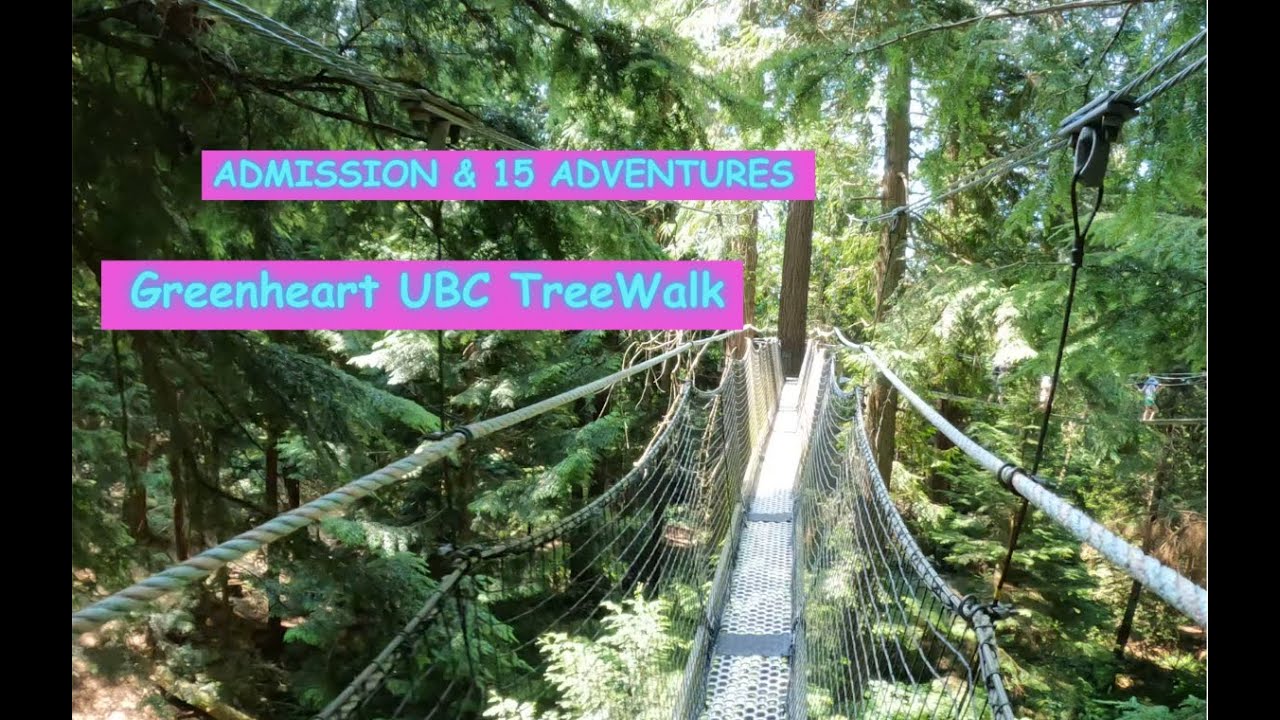 Greenheart Treewalk At Ubc Botanical Garden Vancouver Bc | Fasci Garden