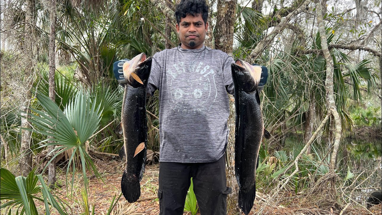 A next good day of Hassa catching 🔥🔥 - YouTube