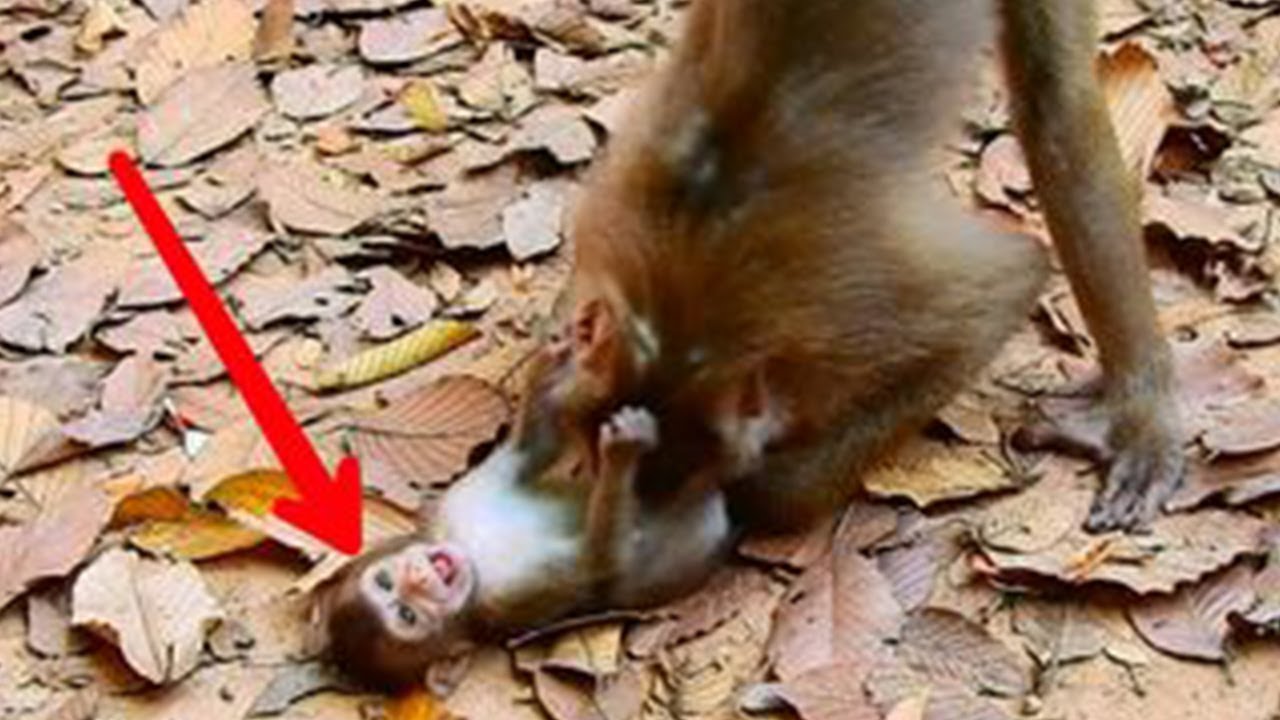 The cutest child, Rainbow, tries to ask Mom to stop Rainbow being ...