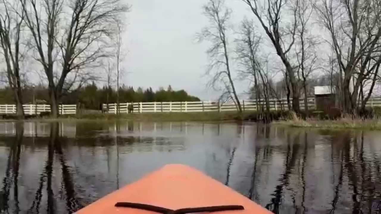 Kayaking Little Cedar River Michigan GoPro - YouTube