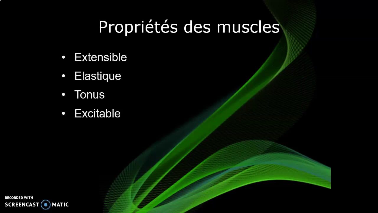 6 Physio muscle suite - YouTube