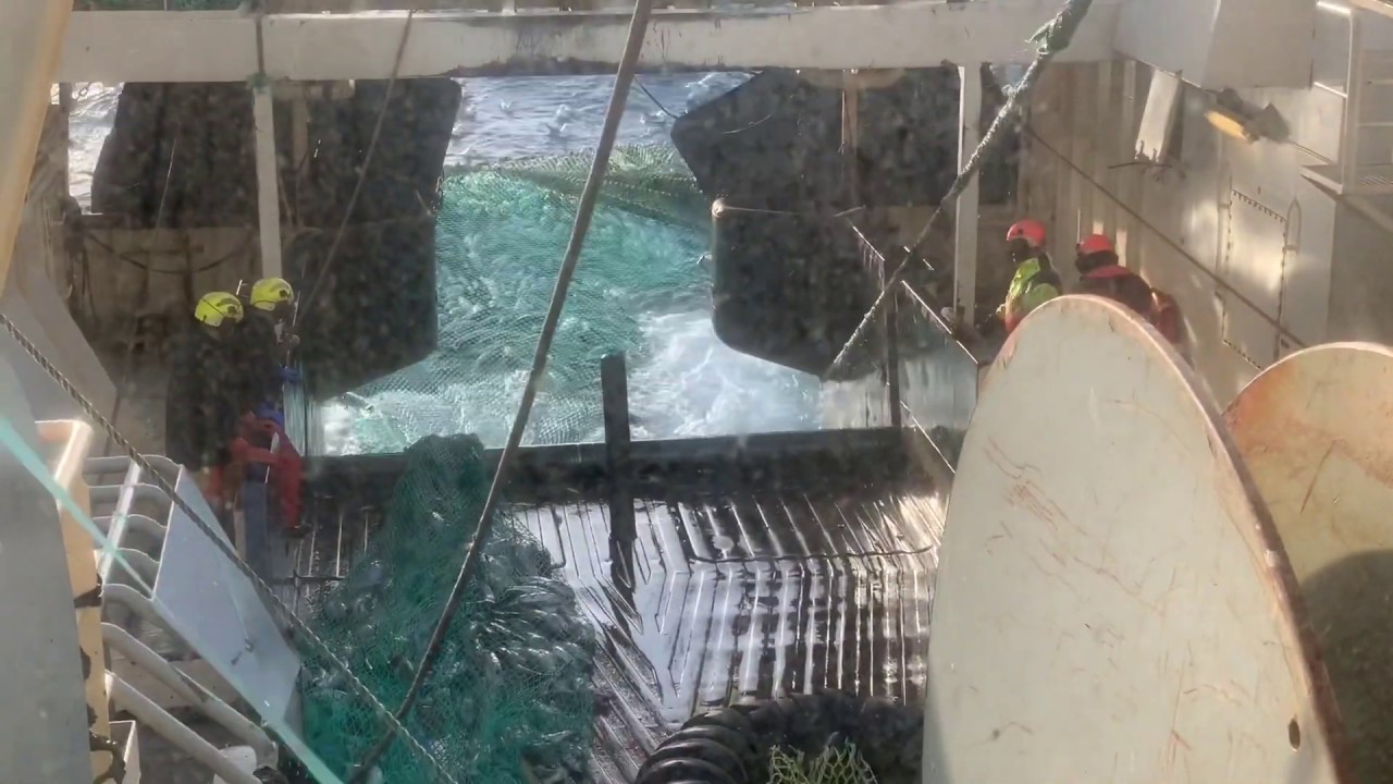 Big fishing in the northsea! - YouTube