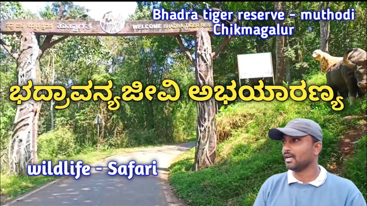 Bhadra Tiger Reserve Muthodi Chikmagalur Wildlife Safari bhadra-tiger-reserve-muthodi-chikmagalur-wildlife-safari