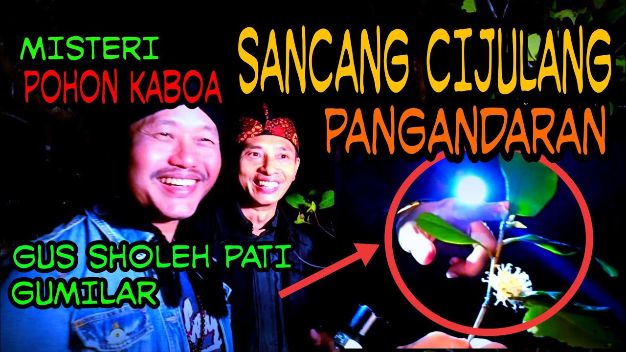 Part - 4 || GUS SHOLEH PATI || Misteri Hutan Pohon Kaboa, Sancang ...