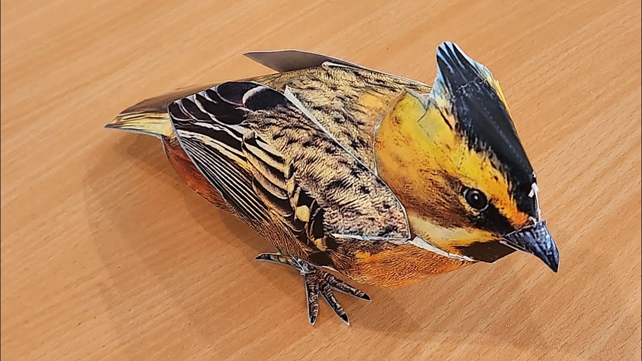 DIY Cardboard Hoopoe Craft | Easy Paper Bird Model Tutorial - YouTube