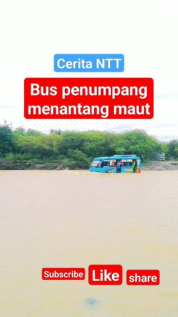 Bus penumpang menantang maut, NTT #ntt #flores #kupang #komodo #manggarai #bahaya #menantangmaut ...