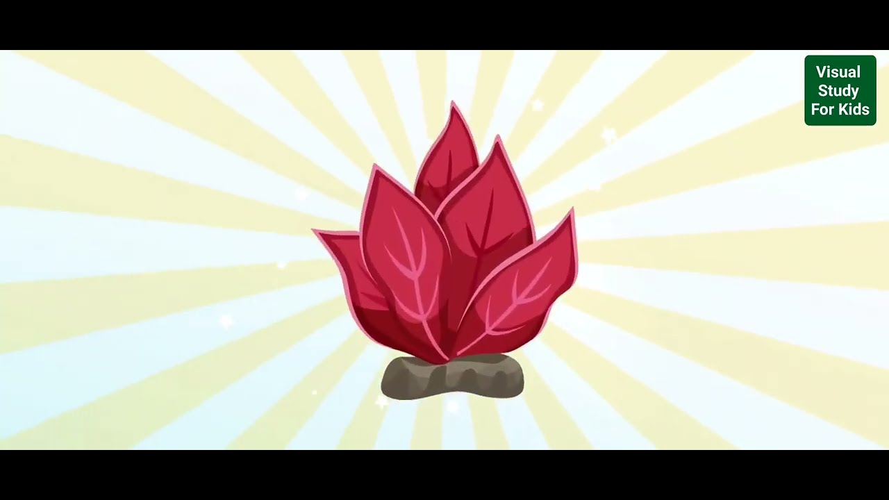 (Science) Water Cycle 3rd Grade Education For Kids - YouTube