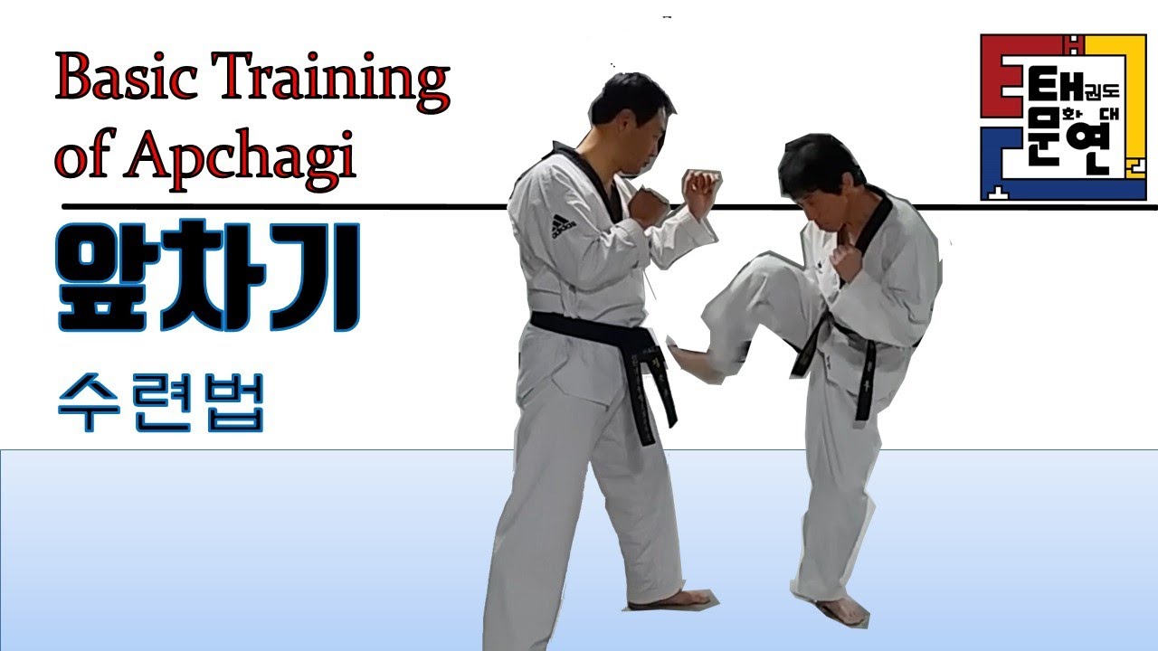 Taekwondo kick: 앞차기의 기초: The basic training of Apchagi(front kick) [태권도 ...