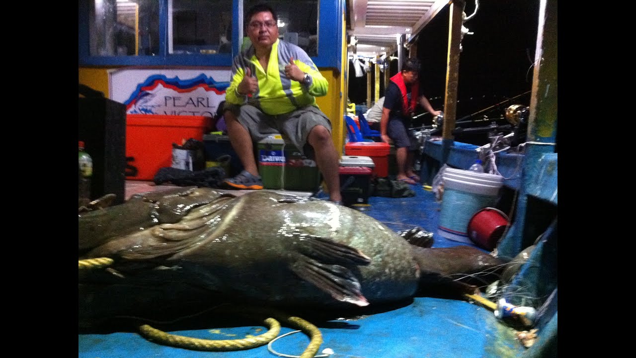 Sabah International Fishing Tournament (SIFT) 2015 85KG Grouper - Team ...