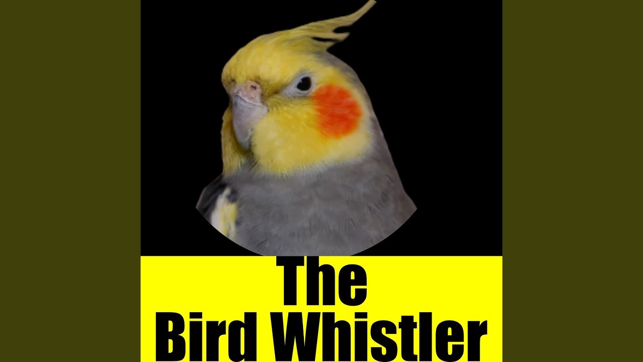 A. Griffith Whistle - YouTube