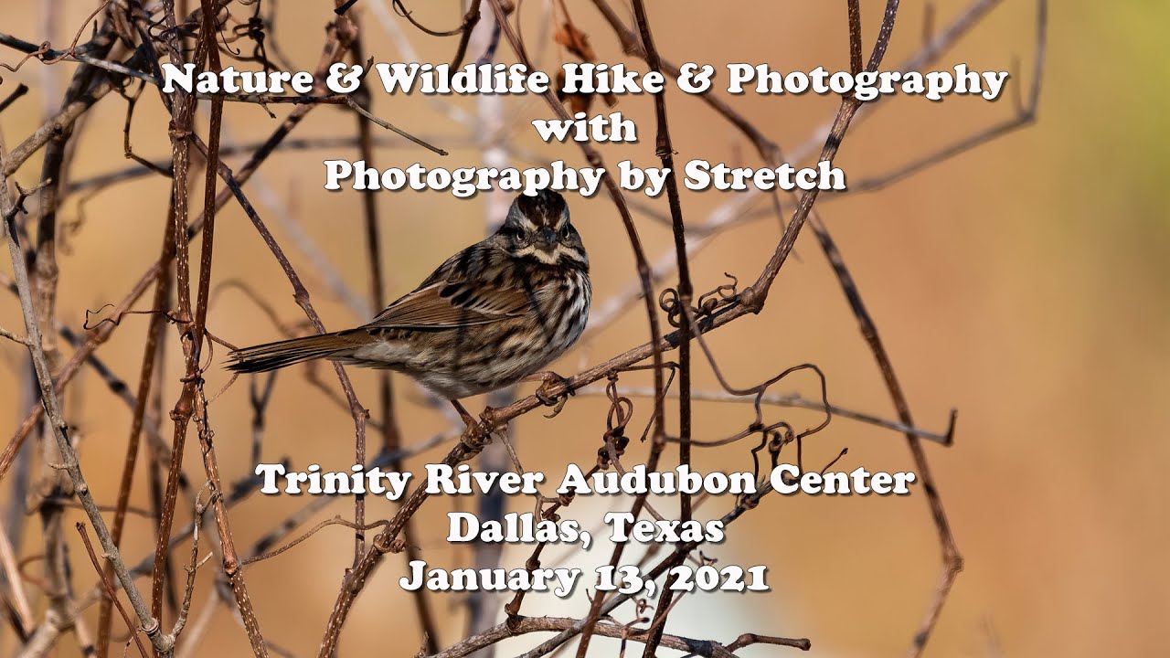 Wildlife & Nature Photography Hike - Trinity River Audubon Center 01-13 ...