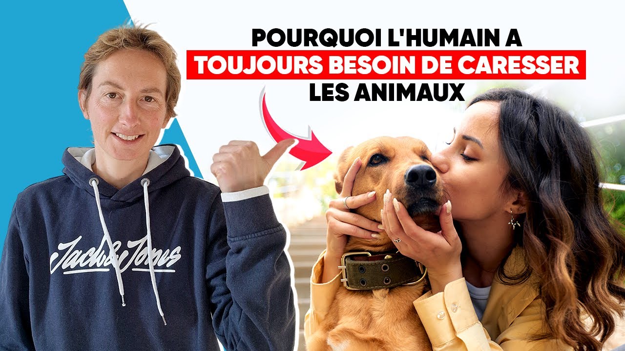 👉Pourquoi l'humain a toujours besoin de caresser les animaux ? - YouTube