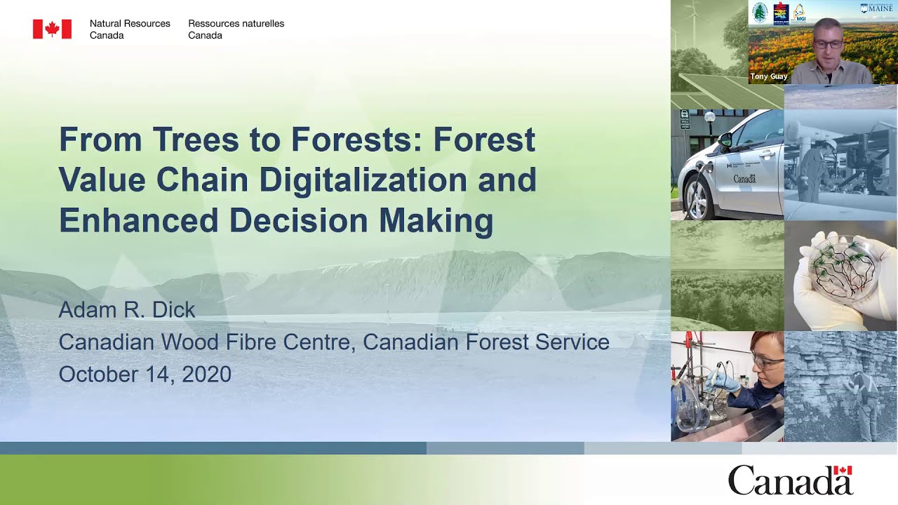 Moving Beyond EFI: Accelerating the Digitalization of the Forest Value ...