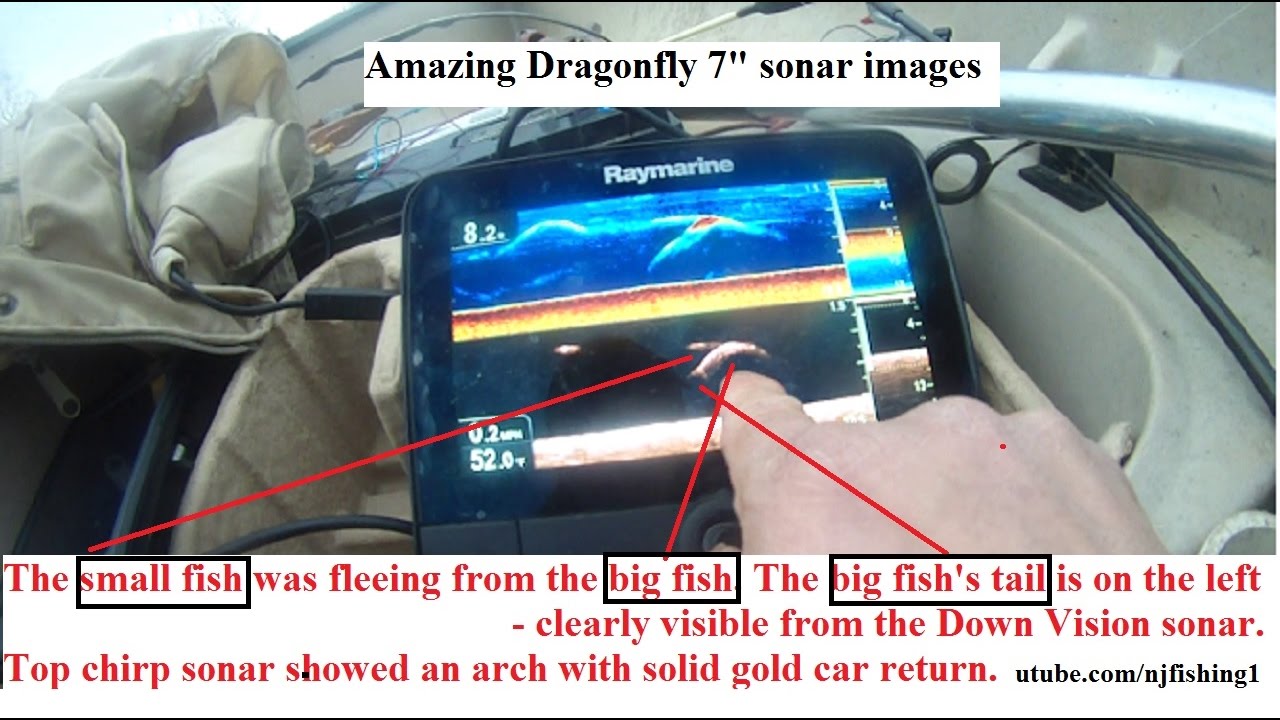 Raymarine Dragonfly 7 sonar fish images explained (3 of 3) - YouTube