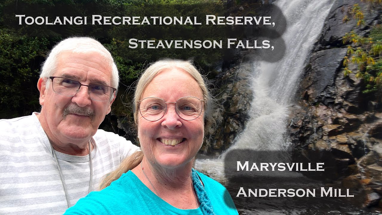 Camping, Toolangi Recreational Reserve, Wirrawilla Rainforest, Kalatha ...