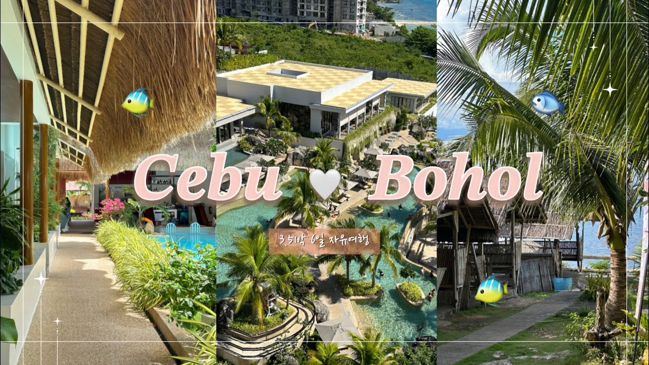 Vlog 세부x보홀 35박 6일 자유여행 세부 쉐라톤 막탄 리조트 세부 호핑투어 오슬롭 고래상어투어가와산캐녀닝